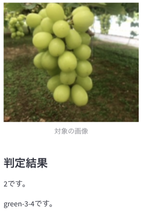 浦井知彦の事業紹介