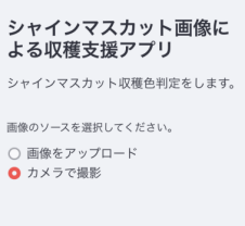 浦井知彦の事業紹介
