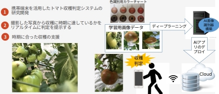 浦井知彦の事業紹介